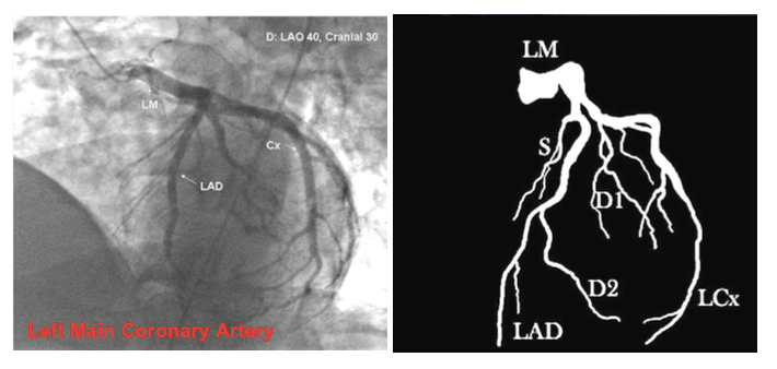 Index of /wp-content/uploads/2018/12/