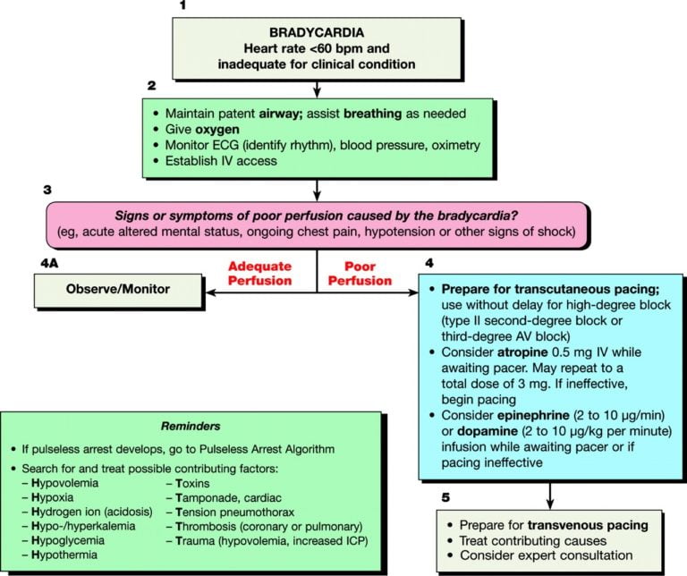 CanadiEM Frontline Primer – ED Skills – ECG Interpretation - CanadiEM CanadiEM Frontline Primer – ED Skills – ECG Interpretation - CanadiEM