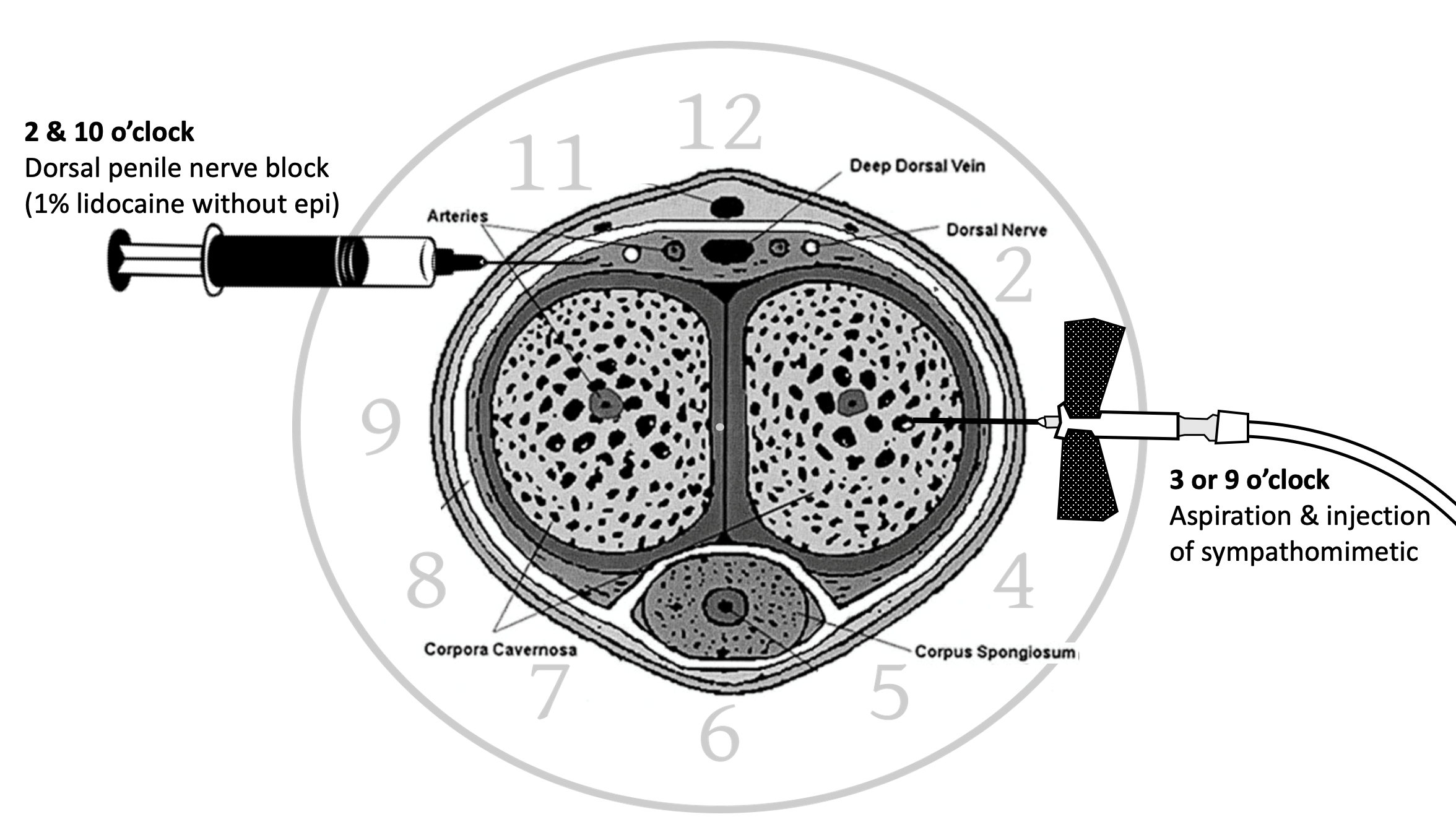 Index of /wp-content/uploads/2020/08/